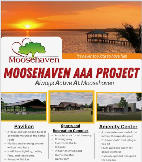 MOOSEHAVEN | My Site